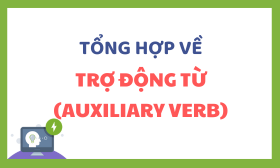 Tổng hợp về trợ động từ trong tiếng Anh - TAK12 - Tự Học thêm & Ôn thi theo cách tối ưu